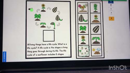 Plant Life Cycle Adapted Book Boom Cards by Where I AUT-a Be | TPT