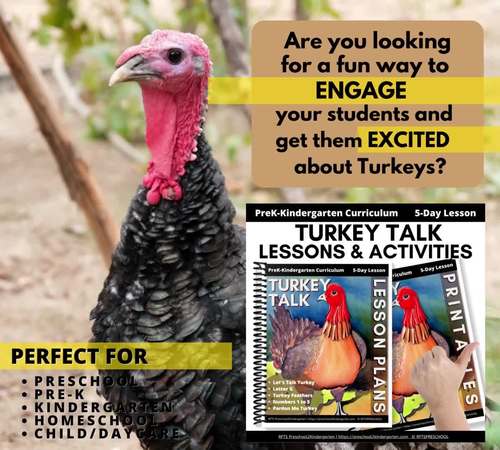 TURKEY TALK THANKSGIVING | 5-Day Preschool PreK Kindergarten Curriculum ...