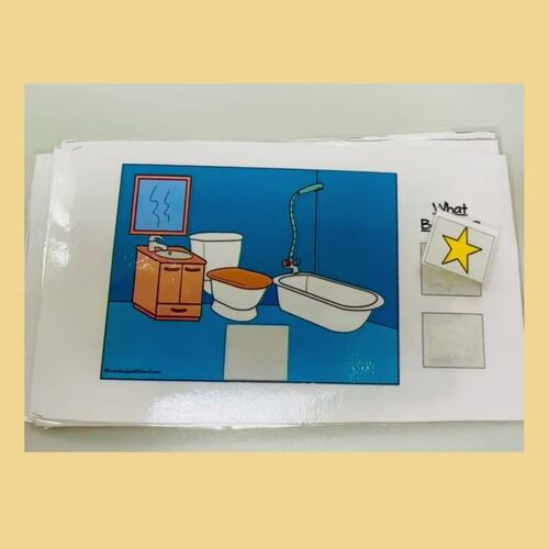 Life Skills Category Sorting Bathroom Task Cards for Special Education