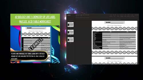 AP Biology Label Digital Worksheet Unit 1 Chemistry of Life Nucleic Acids