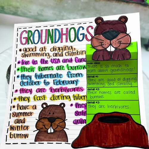 All About Groundhogs | Groundhog Day Reading Comprehension Activity and ...