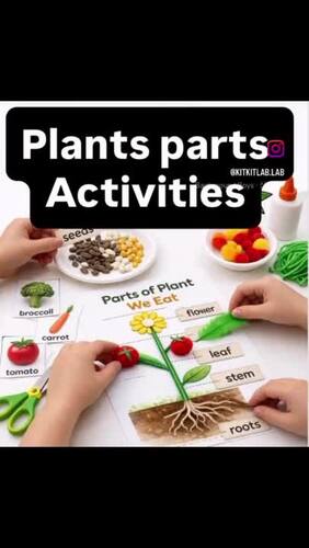 Parts of a Plant Worksheet | Cut and Paste Activity | Kindergarten Science