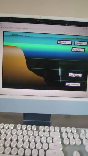 Ocean Zones Sea Animals Sorting Game Google Slides Marine Biology Science