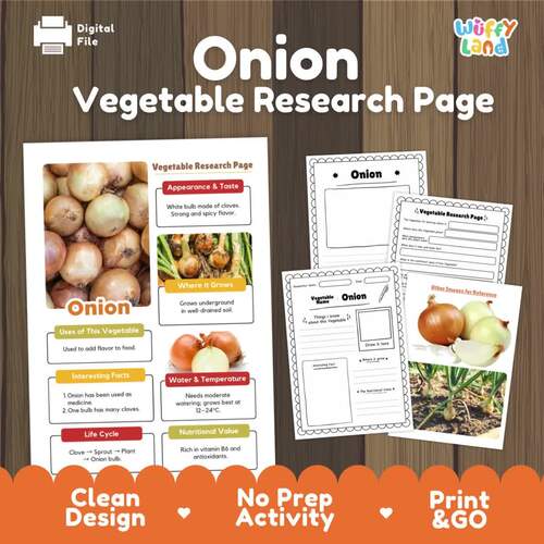 Onion Vegetable Research Project | Plant Science Activity | Healthy Eating