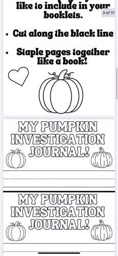 Pumpkin Investigation Booklet/Journal by Kindergarten Kitties | TPT