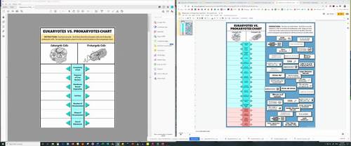 Eukaryotic & Prokaryotic Cells - Card Sort Review Game | Print & Google ...