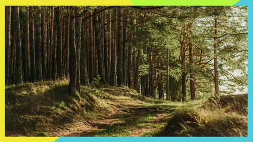 Writing Prompt Pictures for Creative Writing by Improving Your Classroom