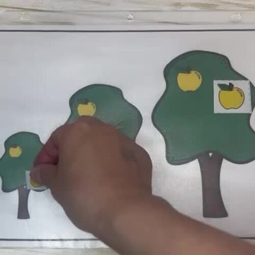 Apple Sorting Mats | Fall Apple Tree Size & Color Sorting Mats | TPT