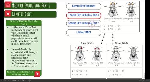 Biology Interactive Diagrams: Unit 9 Evolution by Science With Mrs Lau