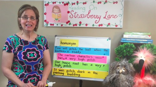 VIDEO: Reading: Set 1. Lesson 51. Word Family Pattern -ock | TPT