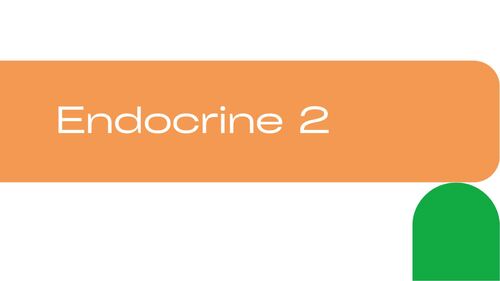 Endocrine System Disorders Lessons Study Guides 3 Powerpoints Science ...