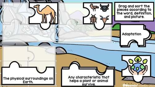 Animal Adaptations | Puzzle Sort | Digital Activity | Vocabulary Cards ...