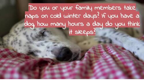 Winter Morning Meeting Work Slides | Daily SEL Prompts for Elementantary