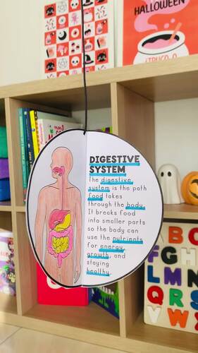 Digestive System Diagram Craft Activity | Human Body Systems Project