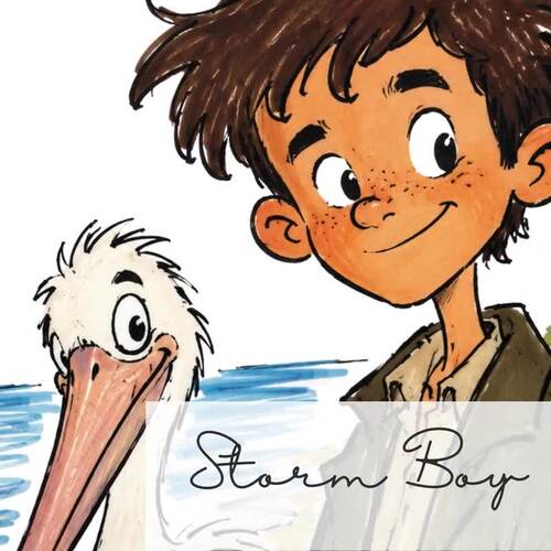 STORM BOY Novel Study by The Book Bandit | TPT
