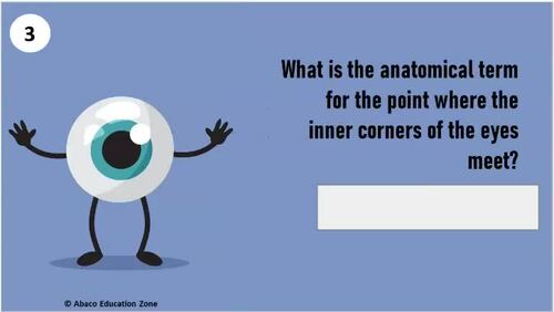 Special Senses: The Eyes Digital and Print Activity-Nervous System Activity