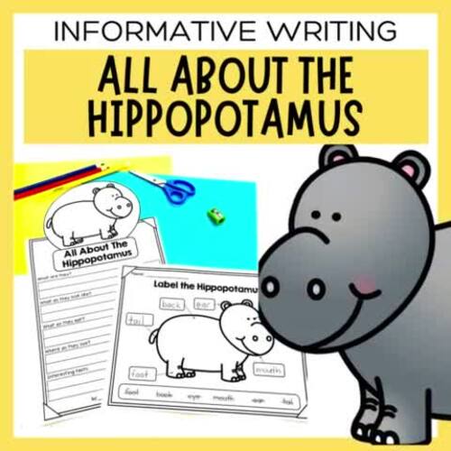 Hippopotamus Information Report | Zoo Animal Writing | Label A Hippopotamus