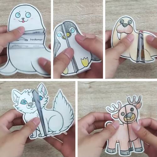 Arctic Life cycle Bundle | Penguin, Harp Seal, Arctic Fox, Walrus, Reindeer