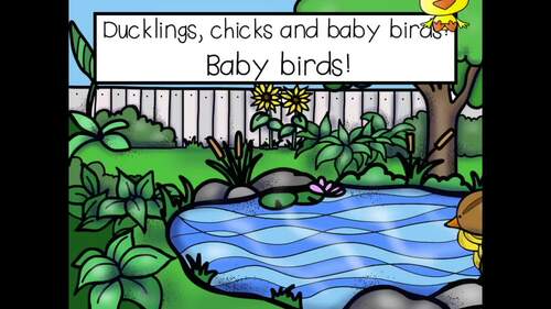 Spring Set 1 Circle Time Songs & Music With Activities | PreK ...