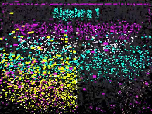 Algebra 1 Florida BEST Semester 1 Bundle by Math Lion | TPT