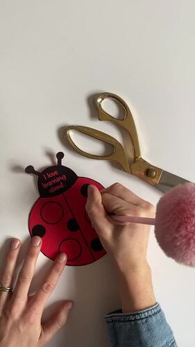 Spring May April March Bulletin Board Kit Ladybug Craft Door Decor ...