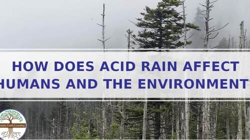 How Does Acid Rain Affect Humans and the Environment? | Boom™ Learning ...