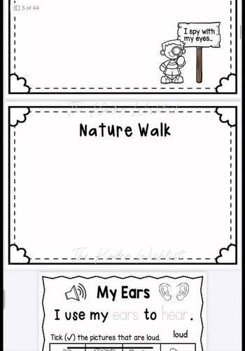 My Five Senses Theme BUNDLE - Kids Worksheets Posters Flashcards ...