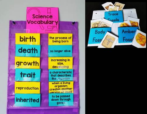 3rd Grade Science Bundle NGSS by Thrifty in Third Grade by Cassie Smith