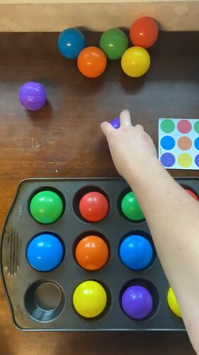 Editable Muffin Tin Coding Colour Matching Printable, Learning Colours ...