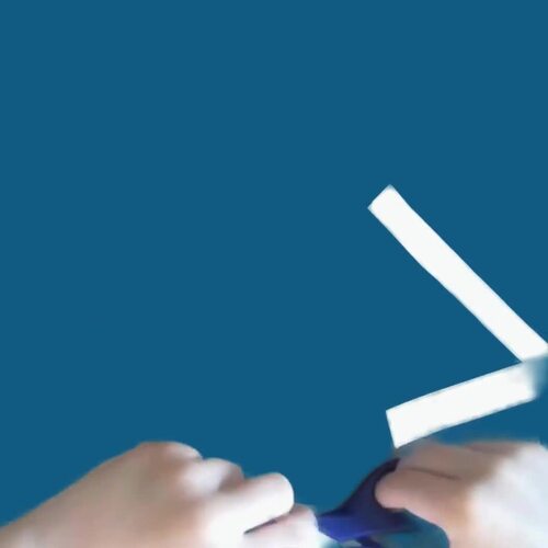 Is It An Insect? Sorting and Categorizing by EARTHWARD EDUCATION