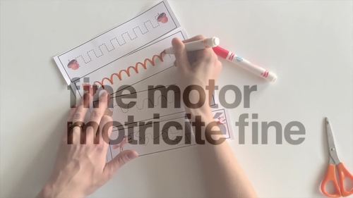 Summer Fine Motor (Motricité Fine) by Madame French Immersion - Tash