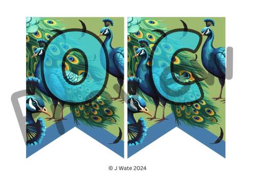 Bird Research Project | Peacock Writing Activity | Animal Fact File ...