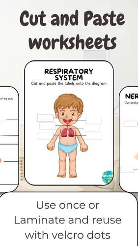 Bundle Human Body Systems Activity for Preschoolers | Hands-On Learning ...