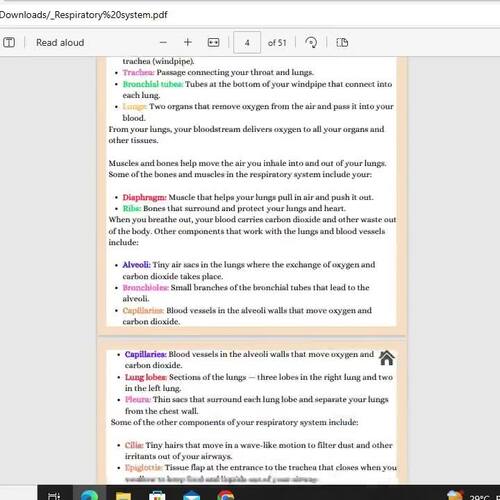 Respiratory System Bundle | Med Surg Nursing Study | Instant Download ...