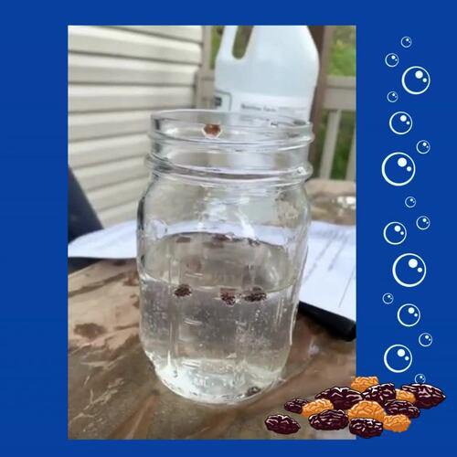 Dancing Raisins Science Experiment Journal & Step-By-Step Instructions