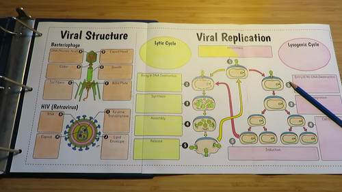 Viruses - Big Foldable for Interactive Notebooks or Binders by Tangstar ...