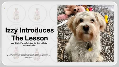 No Prep PERSONAL SPACE Bunny Bubble Social Skills SEL Lesson 2 vid ...