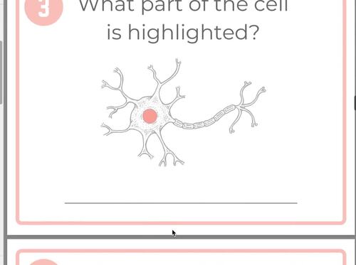 Cell Structure Task Cards | 14 Printable Parts of a Cell | Biology Activity