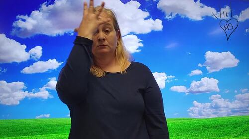 ASL Unit 6 Video 11 by Melissa Sexton | TPT