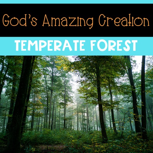 Temperate Forest Habitat Video Lesson Second Grade by Easy Street Teach