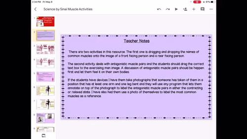 Muscle System Digital Drag and Drop | Labeling and Antagonistic Muscle ...