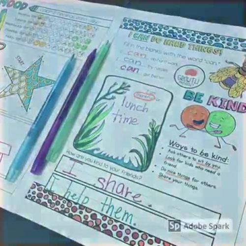 Growth Mindset Journal + SEL Activities + Year Long Check Ins | TPT