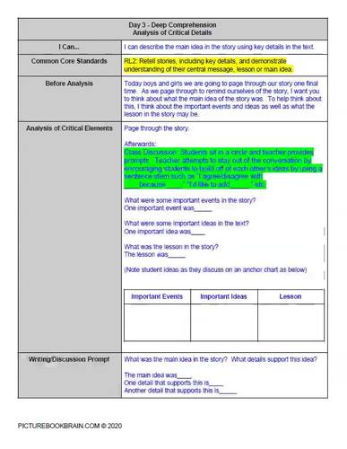 Miss Paul and the President by Dean Robbins Lesson Plan and Google ...