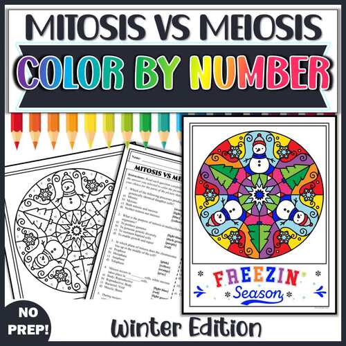 Mitosis vs Meiosis Winter Color by Number | Winter Science Biology Activity