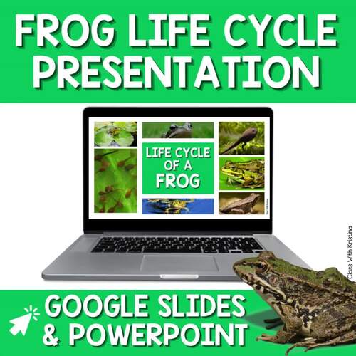 Frog Life Cycle Presentation - PowerPoint & Google Slides | Science Lesson