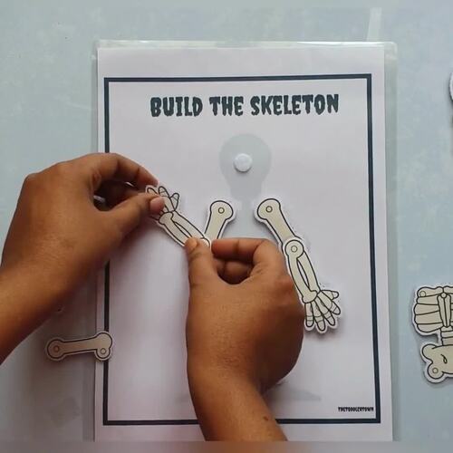 Build The skeleton Halloween activity, Skeleton Shadow match Preschool ...
