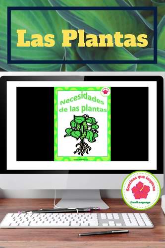 Plants Spanish Partes de la planta by Sonrisas que Inspiran Dual Language