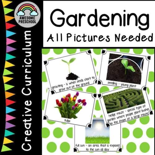 Gardening Study - ALL PICTURES NEEDED (Creative Curriculum®) | TPT
