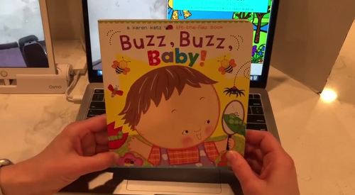 BUZZ, BUZZ, BABY! BOOK COMPANION BUNDLE W/ DIGITAL BOOM CARDS by SLP Britt