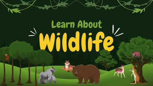 Learn The Wildlife! by Early year education12 | TPT